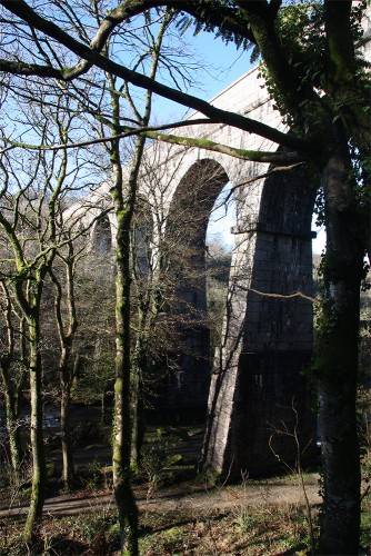 Joseph Thomas Treffry Timeline - GooseyGoo