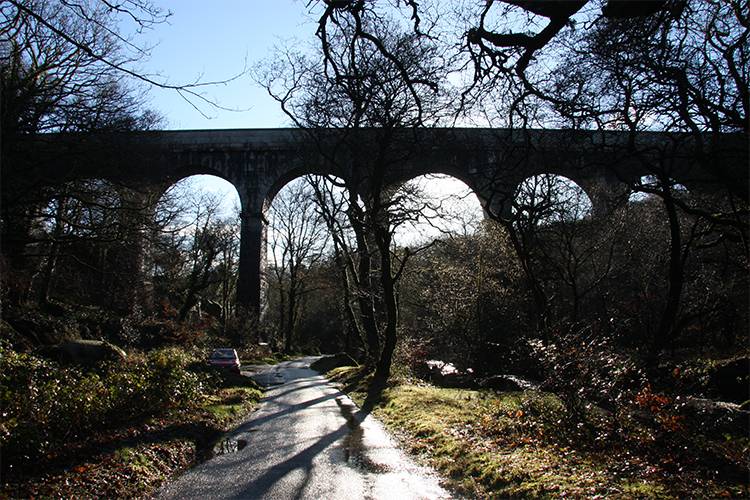 Treffry Viaduct/ Aqueduct - GooseyGoo