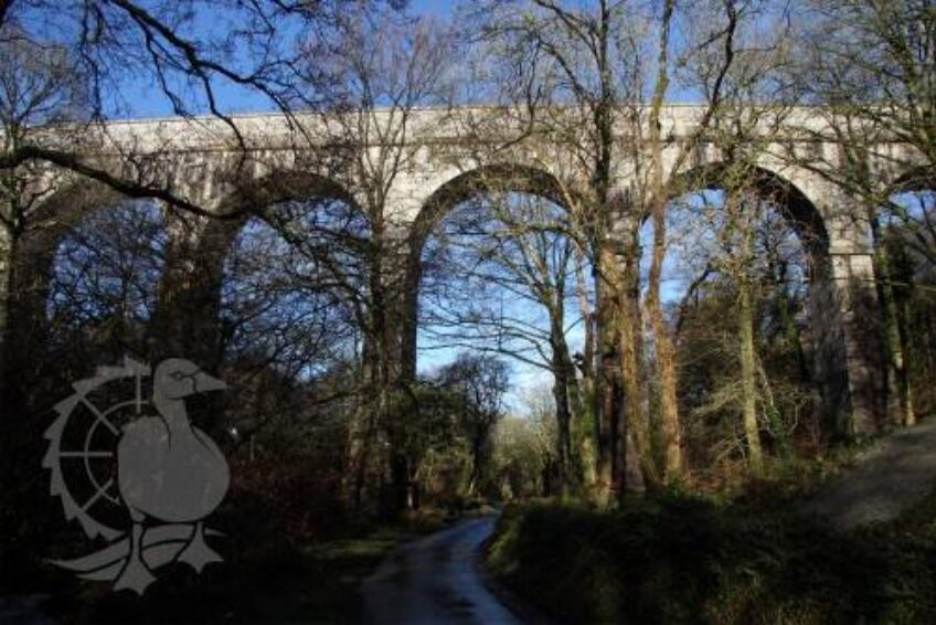 Treffry Viaduct/ Aqueduct - GooseyGoo