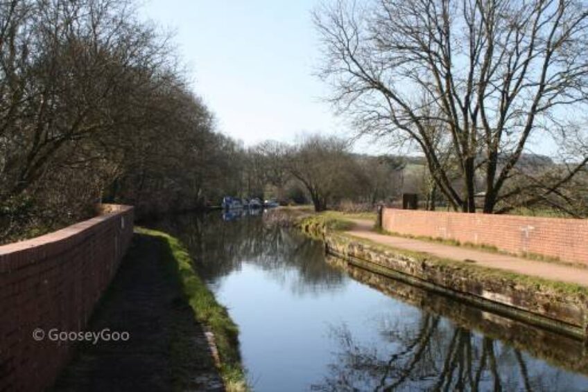 Halberton Aqueduct - GooseyGoo