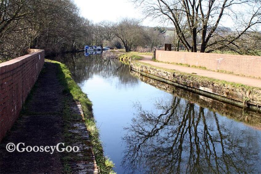 Halberton Aqueduct - GooseyGoo