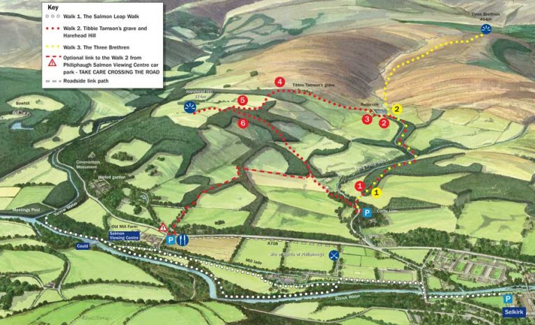 Philiphaugh Estate Walking Map - GooseyGoo