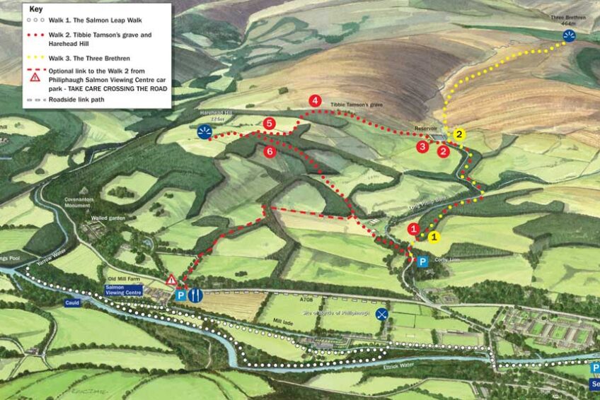 Philiphaugh Estate Waterwheel and Sawmill - GooseyGoo