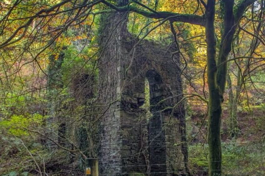 Wheal Glynn - GooseyGoo