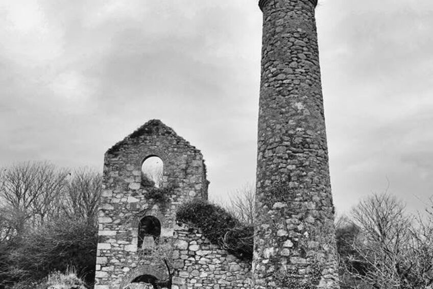 Wheal Grey - GooseyGoo