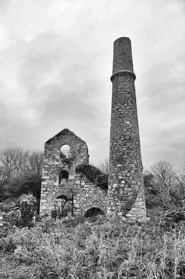 Wheal Grey - GooseyGoo